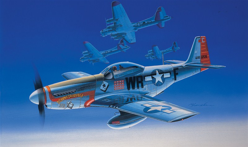 Academy 02132AY North American P-51D Mustang - USAF 'Red Tails'