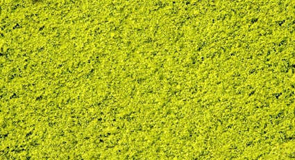 Scenic Express 801bSXP Flock & Turf Shaker Canister Fine Light Green ...